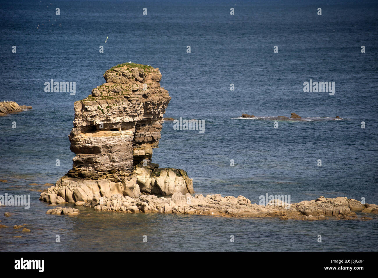 Whitburn Marsden Rock High Resolution Stock Photography and Images - Alamy