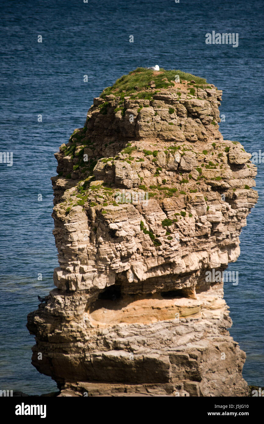 The Leas coastal path, Marsden bay, South Shields Stock Photo - Alamy
