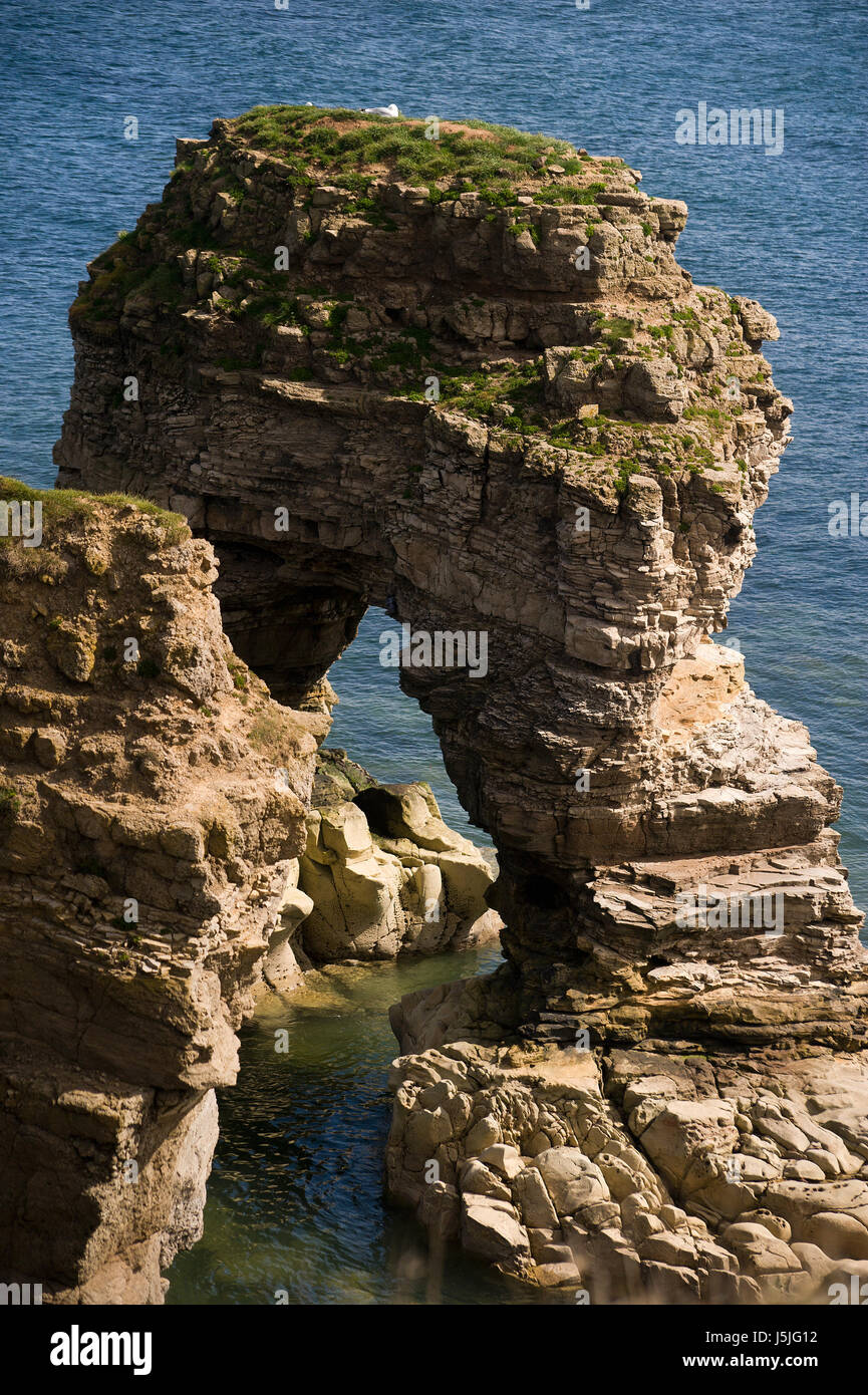 Whitburn marsden rock hi-res stock photography and images - Alamy