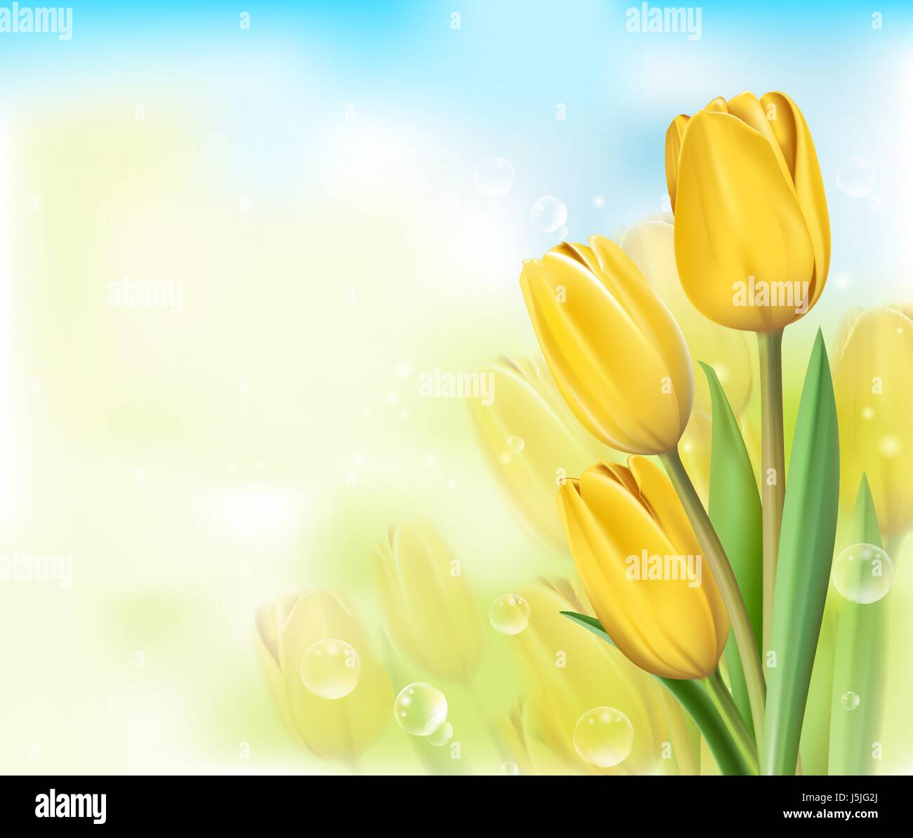 Colorful Vector Tulips in Isolated Background. Editable Vector ...