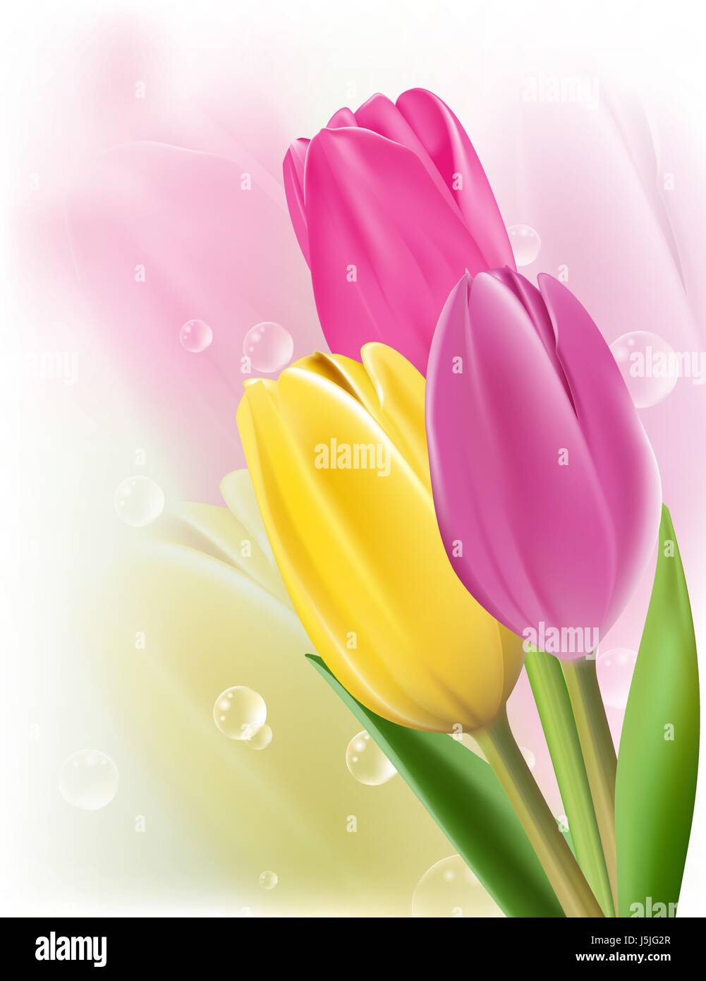 Colorful Vector Tulips in Isolated Background. Editable Vector ...