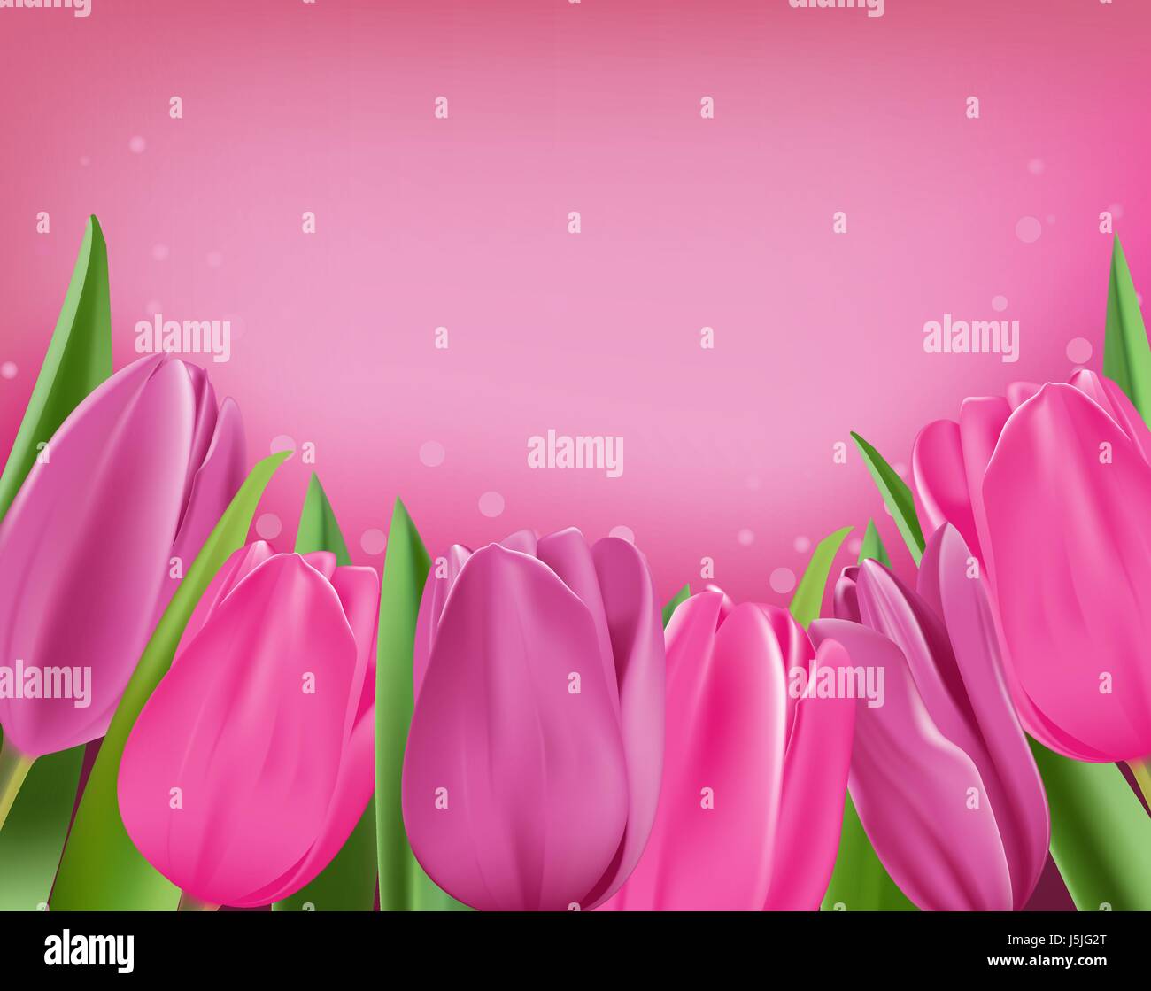 Colorful Vector Tulips in Isolated Background. Editable Vector ...