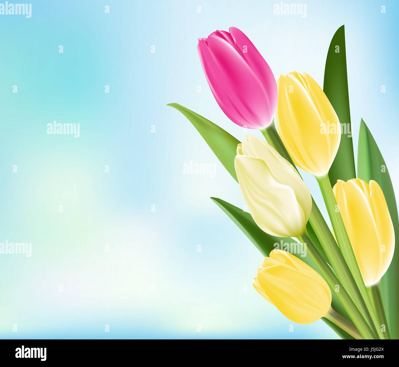 Colorful Vector Tulips in Isolated Background. Editable Vector ...