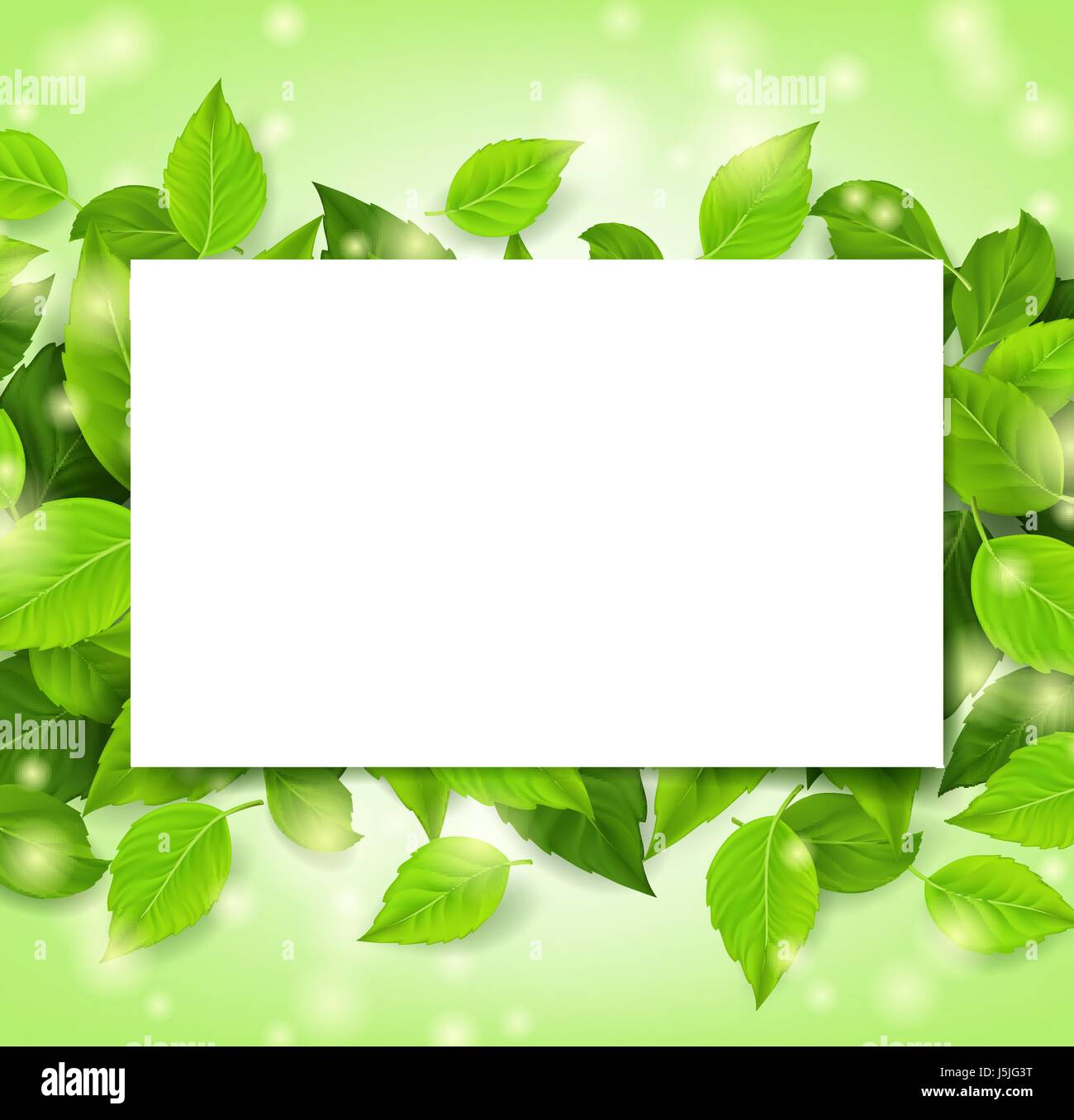 Spring Realistic Leaves Vector Background with White Space for Titles ...