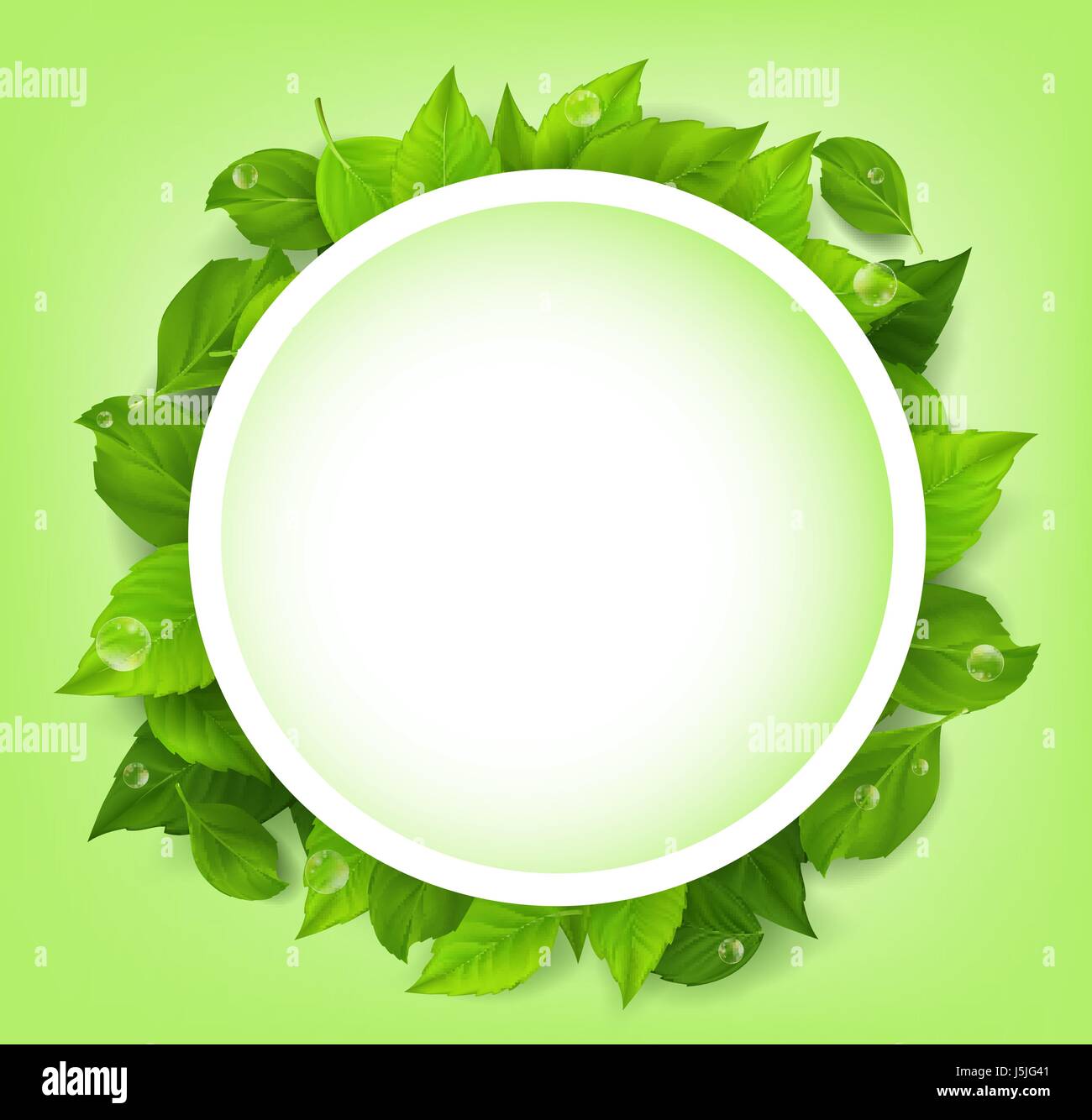 Spring Realistic Leaves Vector Background with White Space for Titles ...