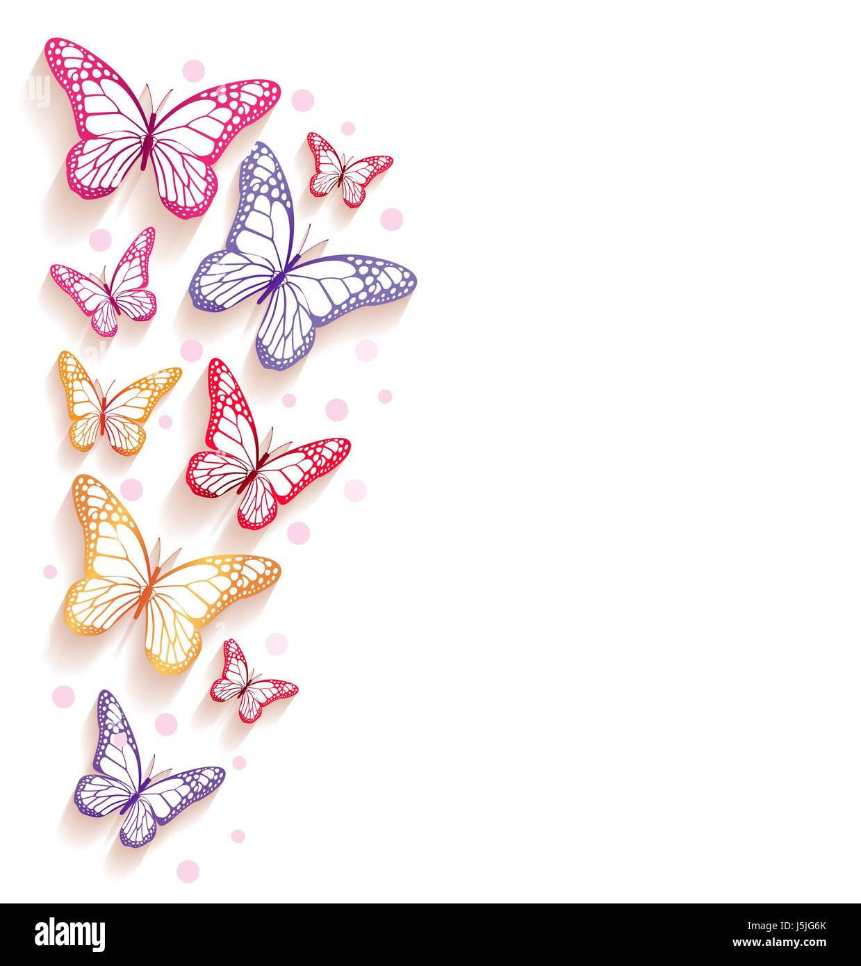 Colorful Butterflies Vector Background for Spring Elements Isolated in ...