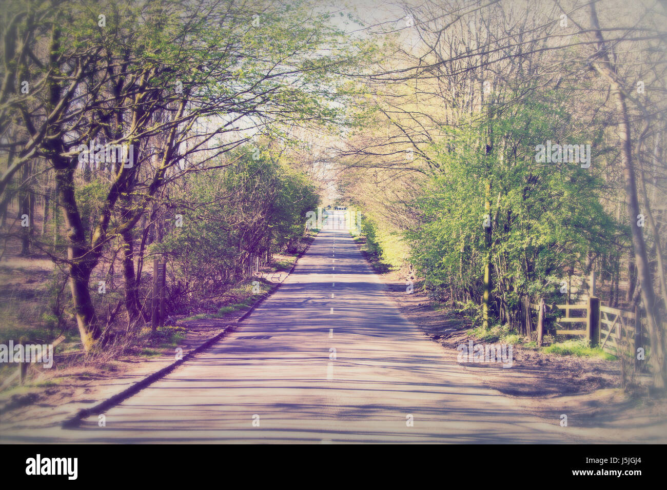 Quite country road through green english countryside Stock Photo - Alamy