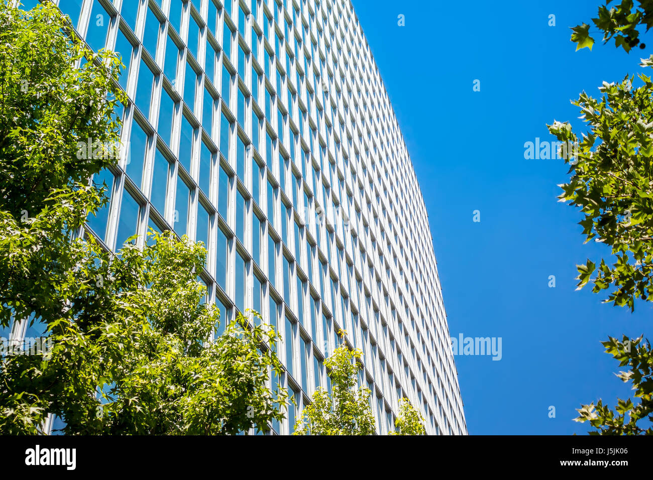 Perspective view of contemporary office building with branches of tree ...
