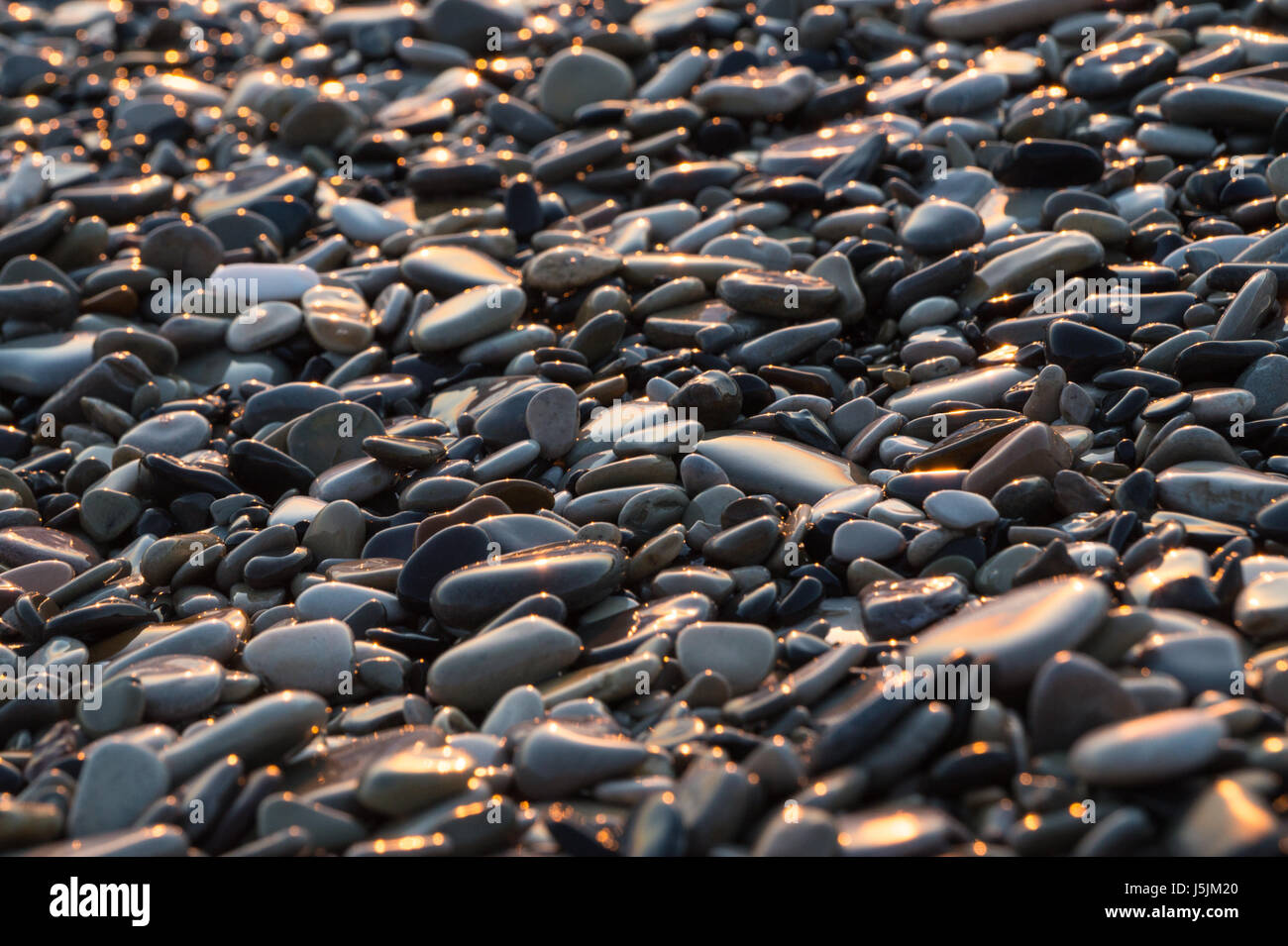 Wet shiny stones on sunset on the beach. Close-up background texture ...
