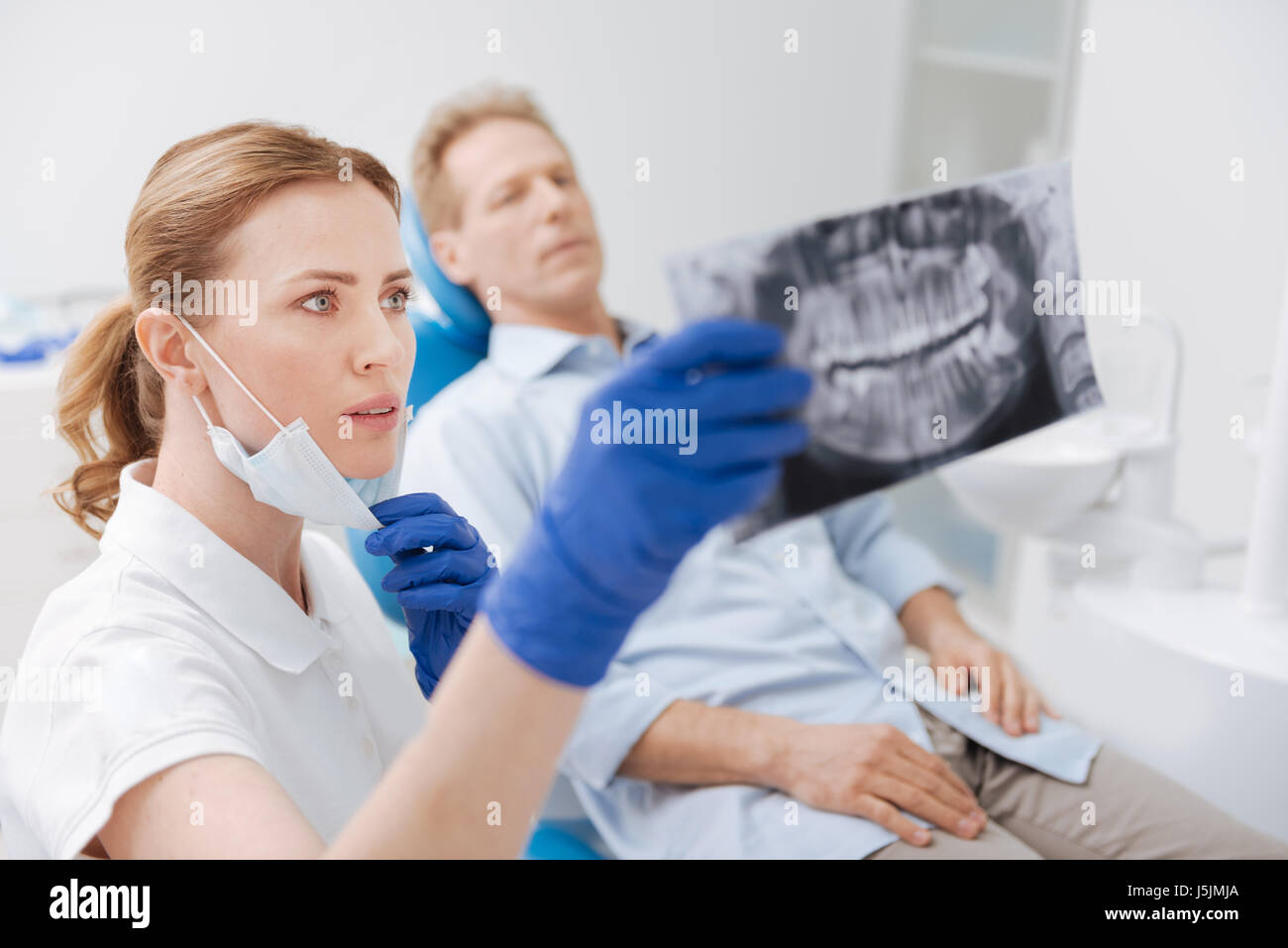 Clever dedicated professional focused on the task Stock Photo - Alamy