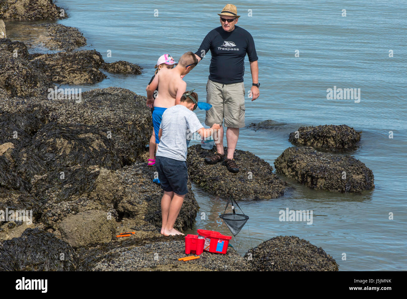Rock pooling children hi-res stock photography and images - Alamy
