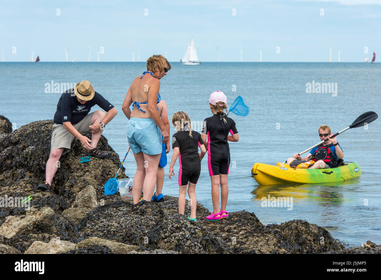 Rock pooling children hi-res stock photography and images - Alamy