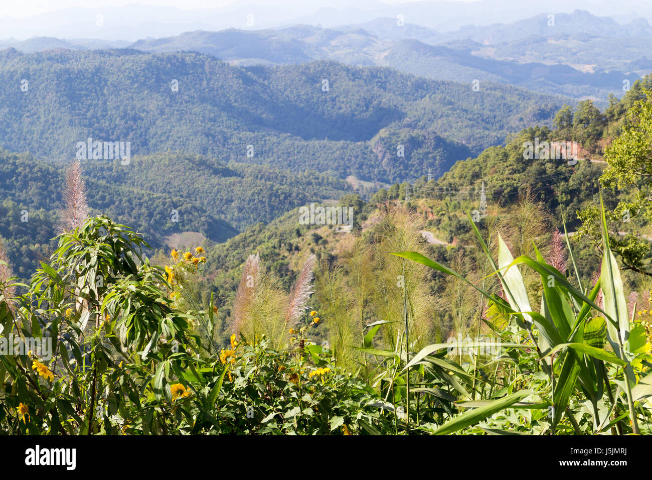 Mountain landscape with trees in Chiang Rai province, Thailand Stock ...