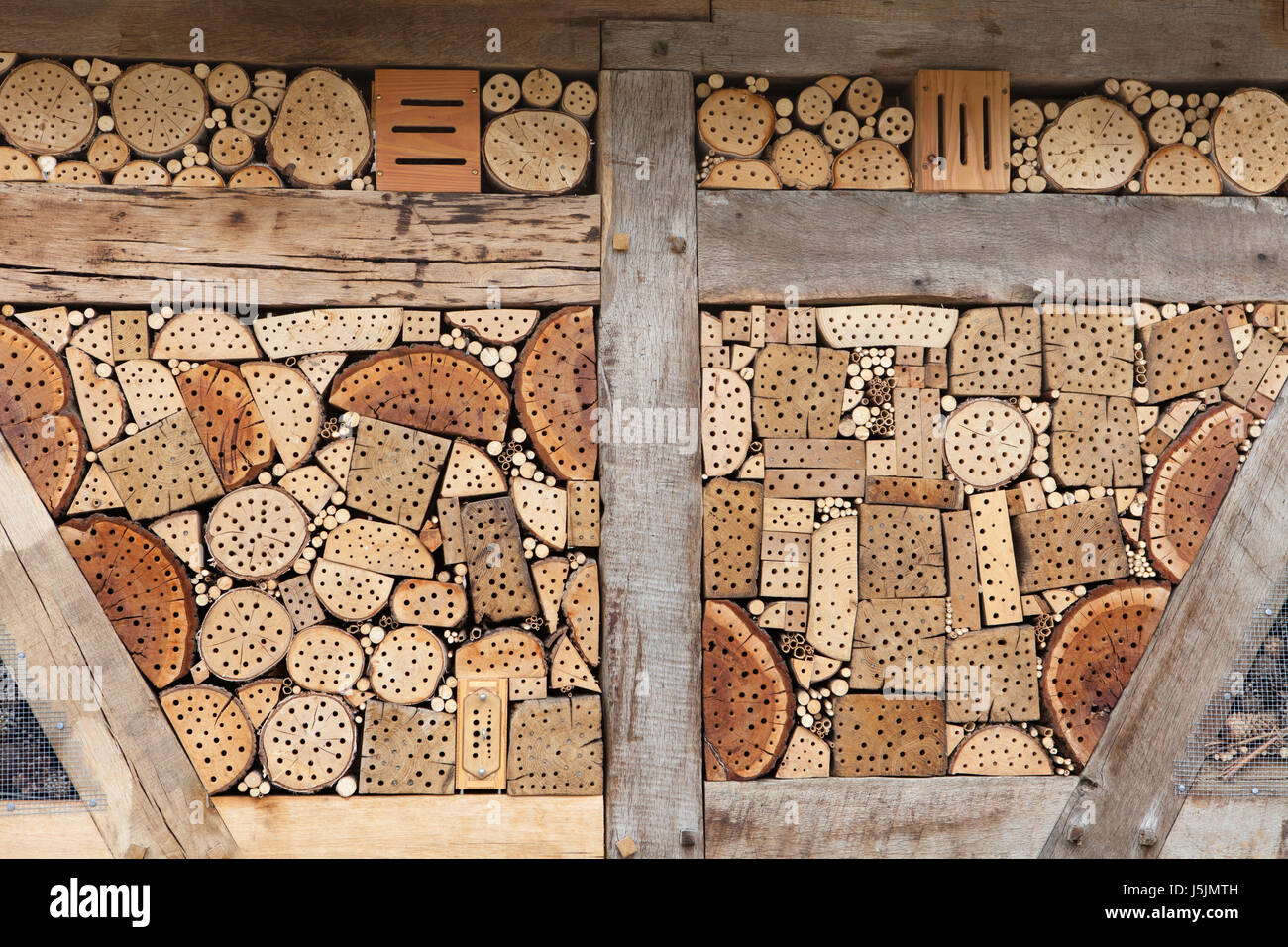 Insect asylum, insect box, an artificial help for nesting and ...