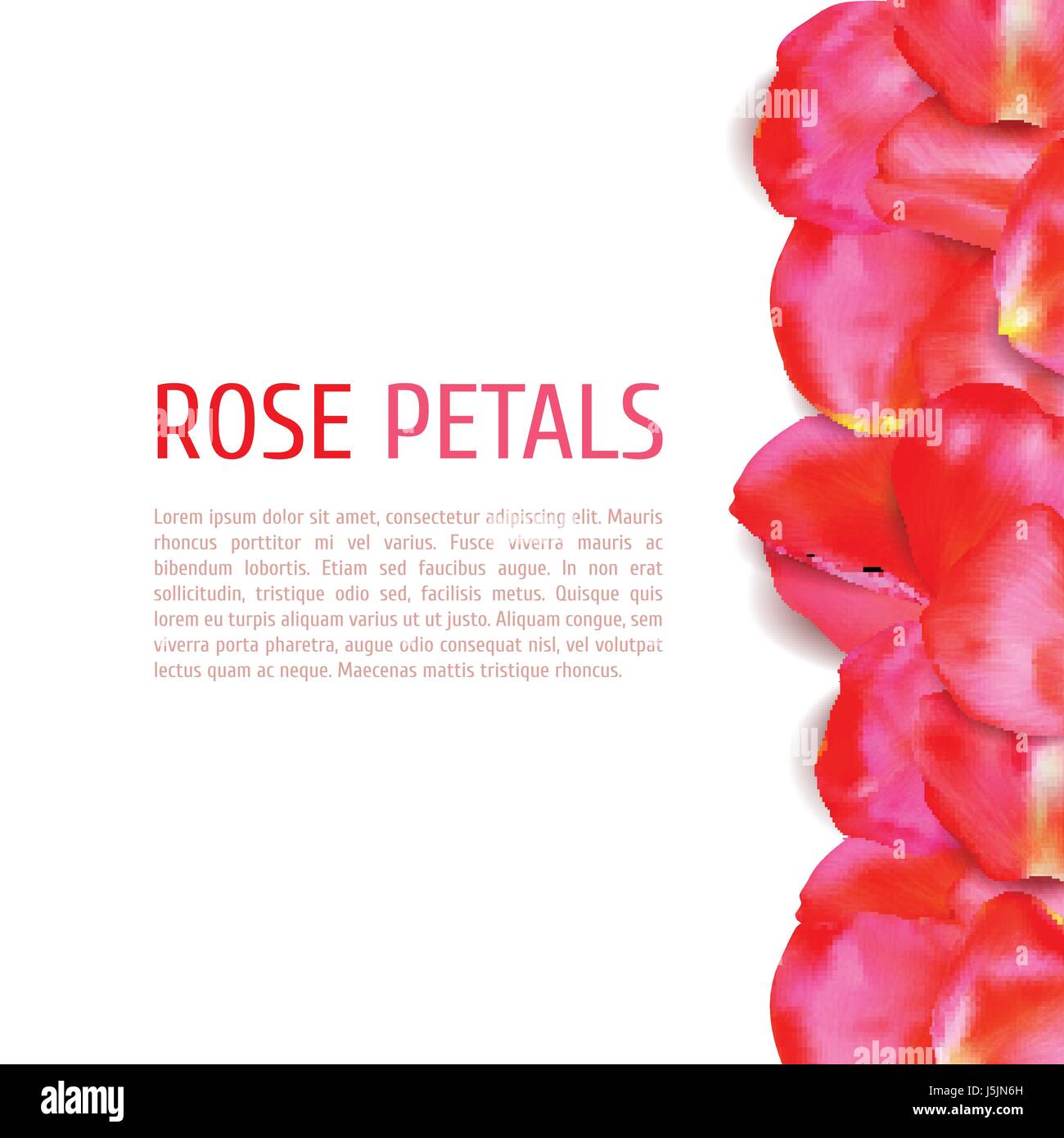 Rose petals border Stock Vector Image & Art - Alamy
