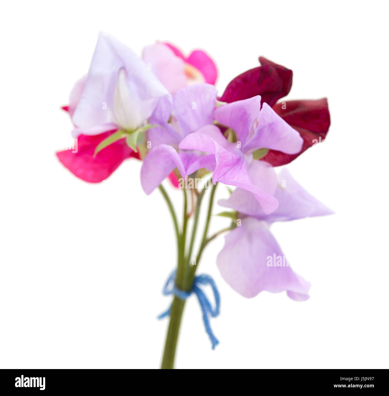 Pea varieties hi-res stock photography and images - Alamy