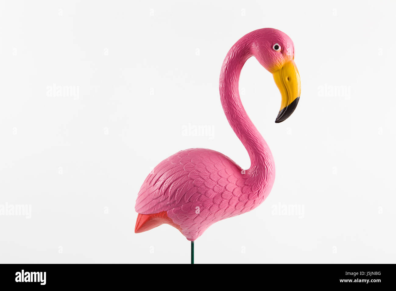 a pink plastic flamingo on a pink background. gradient and tones on ...