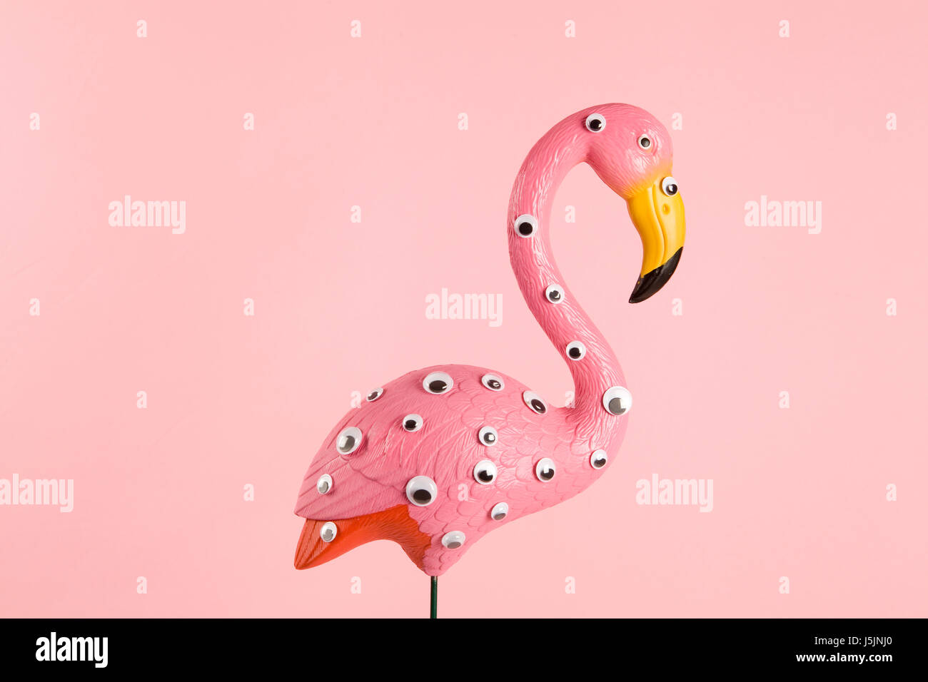 quirky and freak pink plastic flamingo on a pink background with ...
