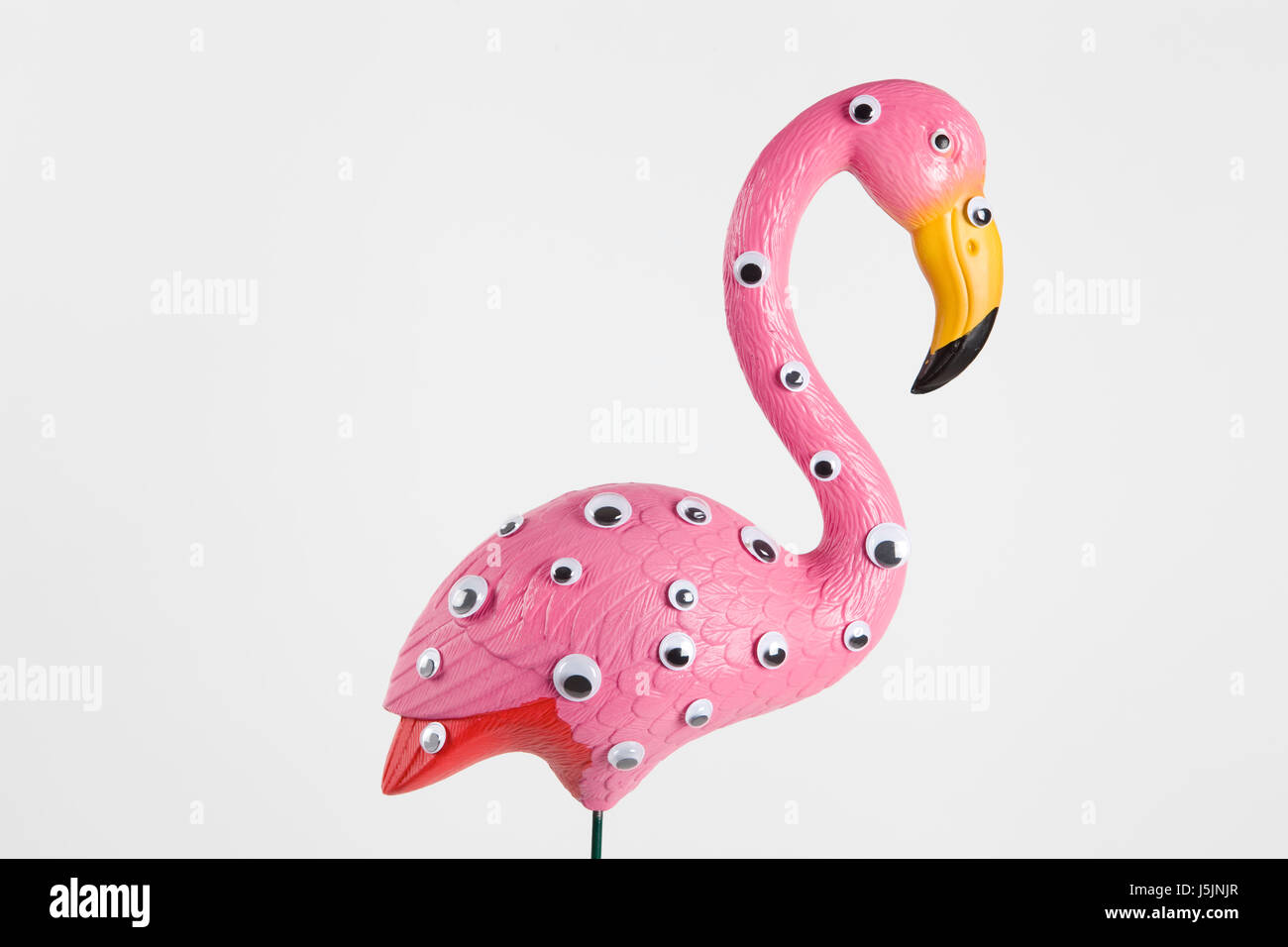 quirky and freak pink plastic flamingo on a pink background with ...