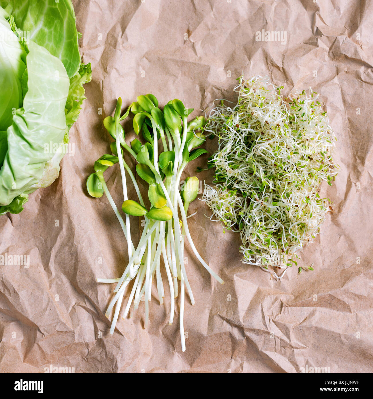 Mixed organic micro greens and cabbage on craft paper. Fresh sunflower ...