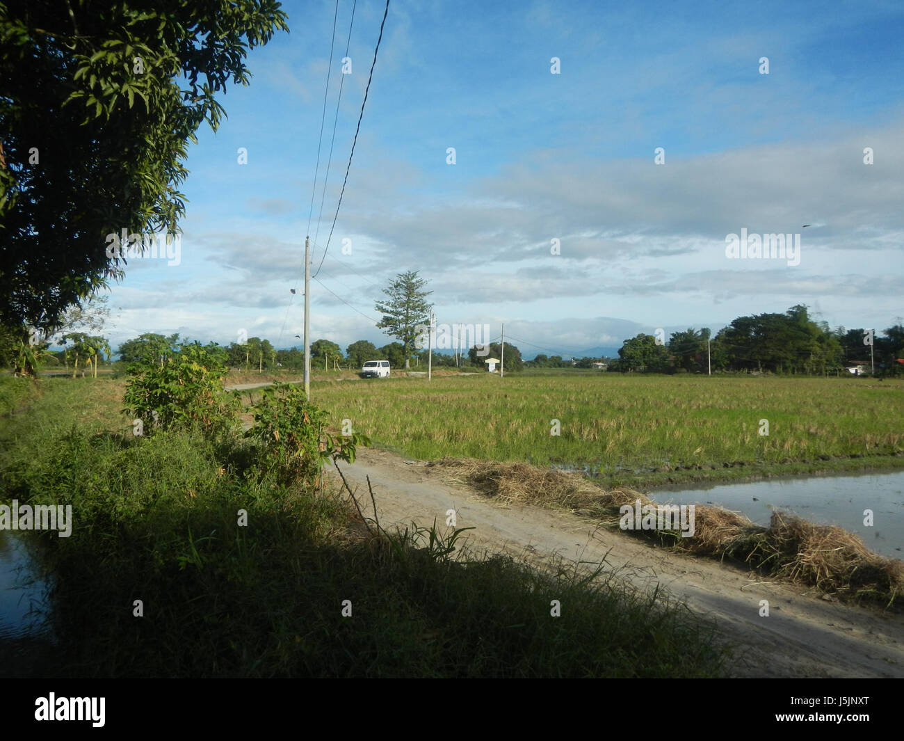 0501 Sitio Hulo Hilerang Patubig Tagulod Candaba Pampanga Farm Market ...