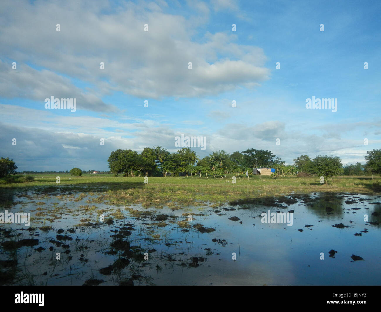 Sitio Hulo, Hilerang Patubig, and Tagulod are rural areas in Candaba ...