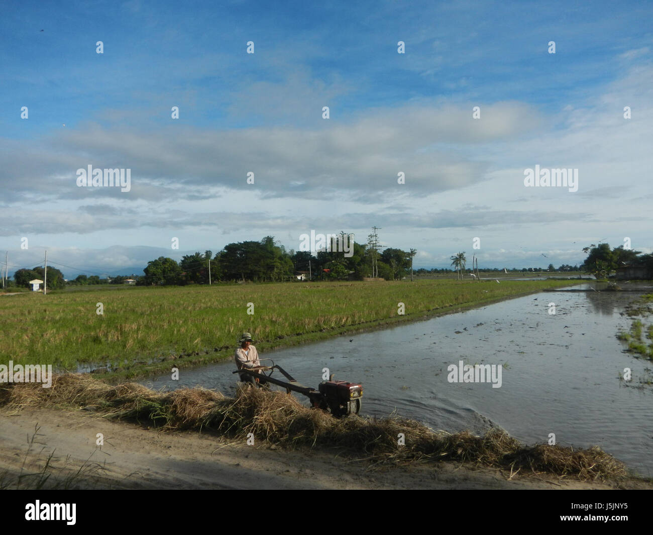 0501 Sitio Hulo Hilerang Patubig Tagulod Candaba Pampanga Farm Market ...