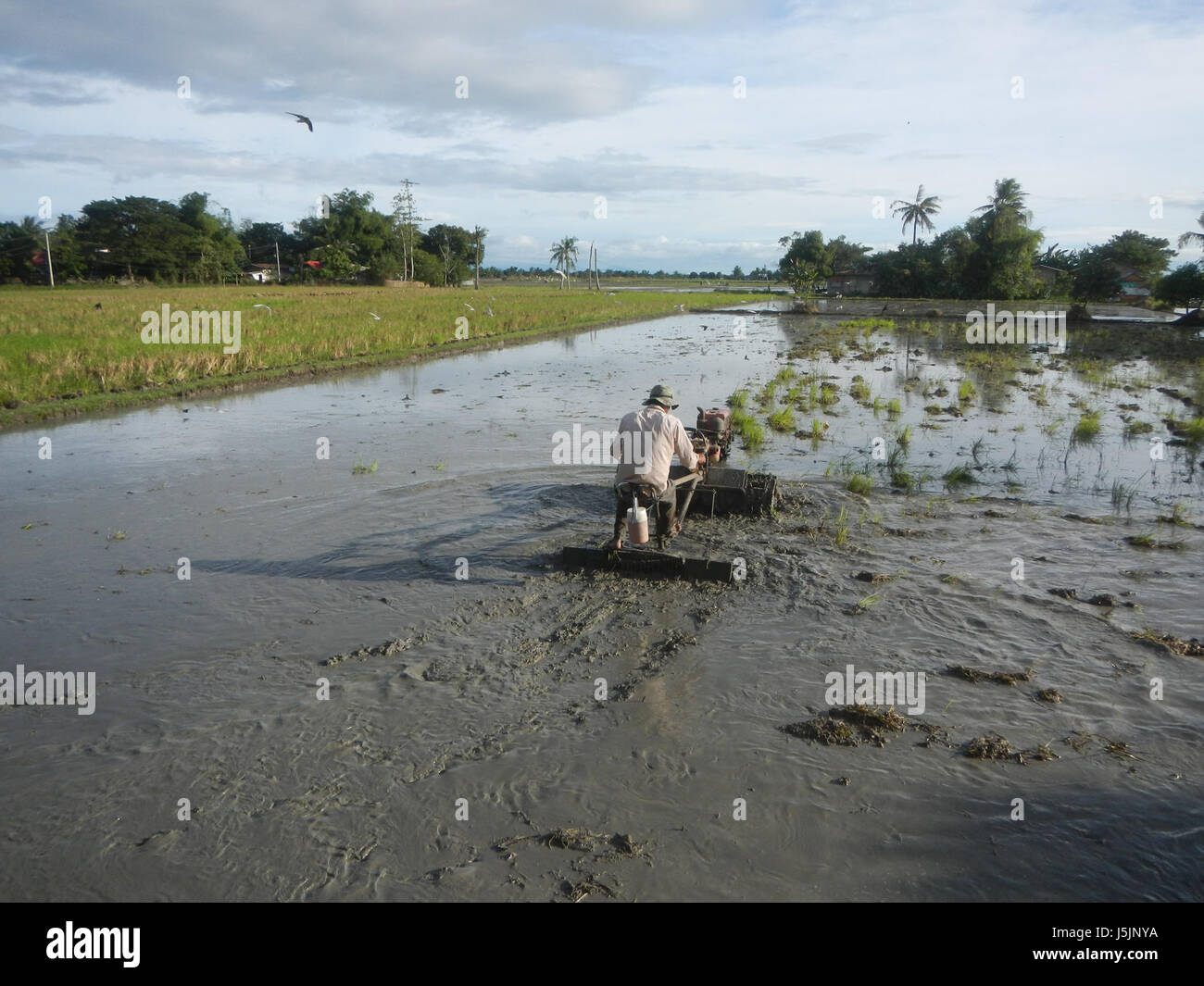 0501 Sitio Hulo Hilerang Patubig Tagulod Candaba Pampanga Farm Market ...