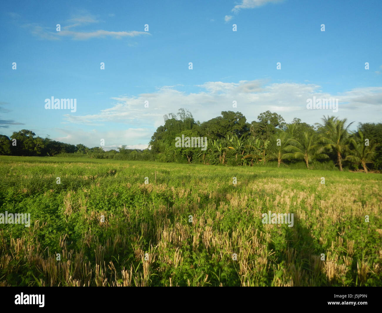 This entry describes an area along the MacArthur Highway in Caingin ...