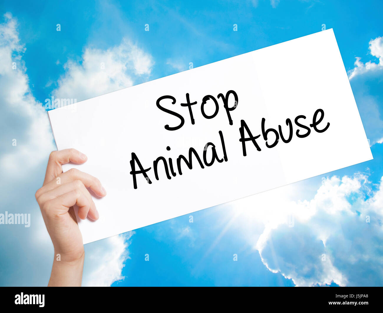Stop Animal Abuse Sign on white paper. Man Hand Holding Paper with text ...