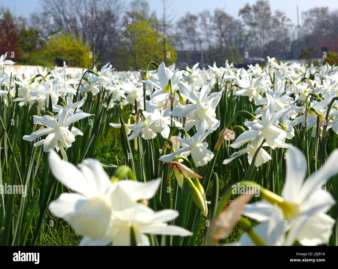 lined up in order Stock Photo - Alamy