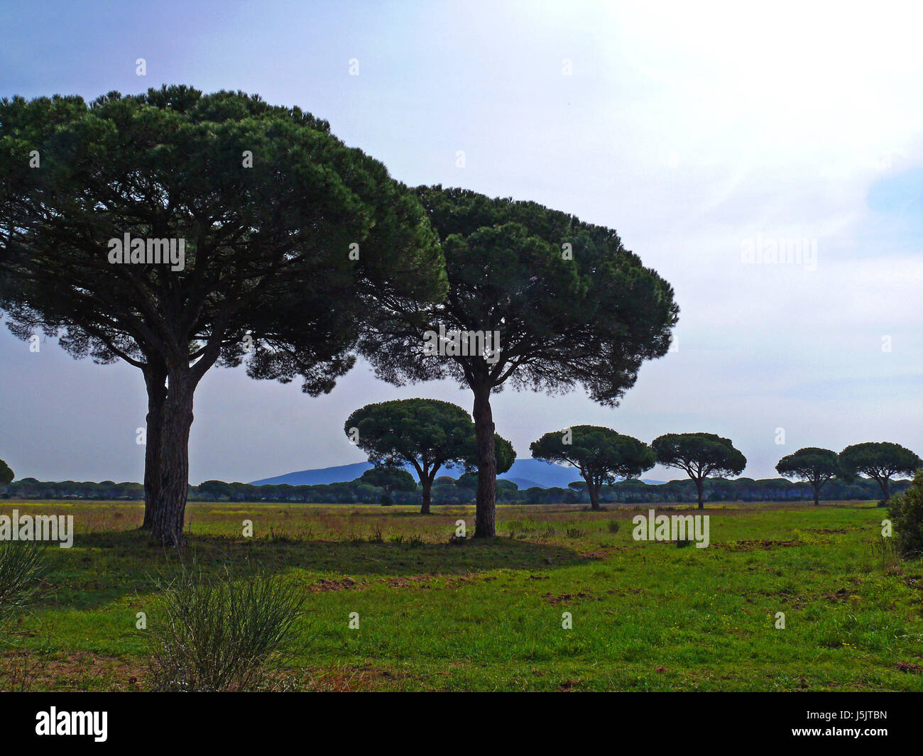 tourism swamp conservation of nature water mediterranean salt water sea ...