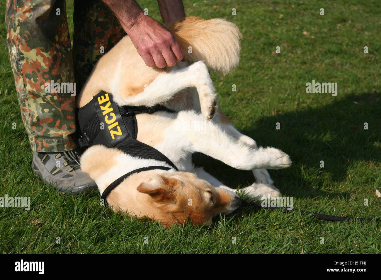 Fondle hi-res stock photography and images - Alamy