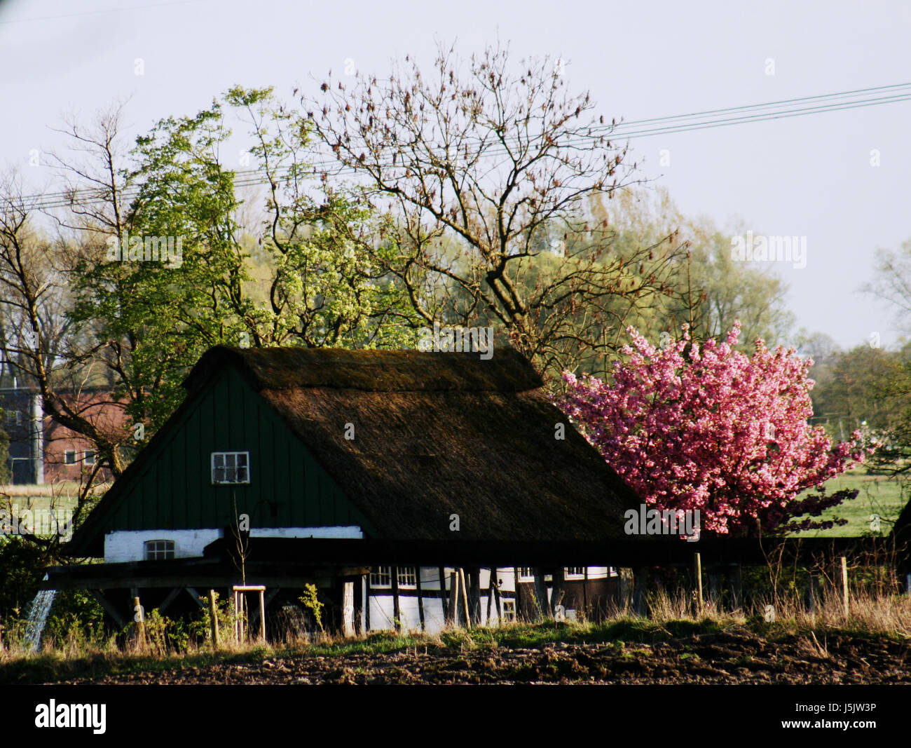 house building tree trees window porthole dormer window pane antique ...