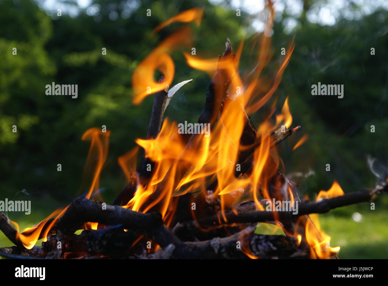 smoke smoking smokes fume wood fire conflagration flame flames campfire ...