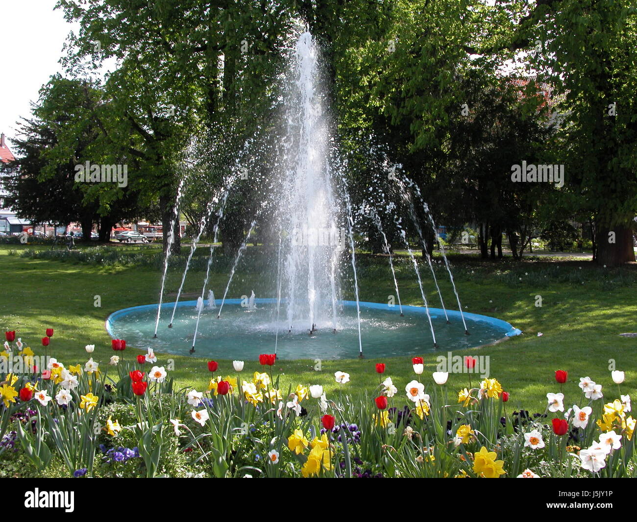 Tree trees plant recuperation hi-res stock photography and images - Alamy