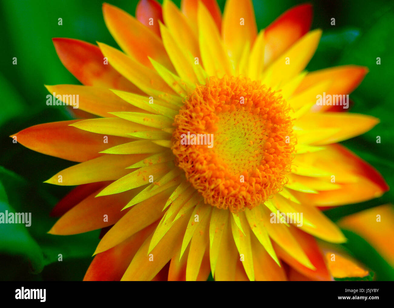 wait waiting shine shines bright lucent light serene luminous colour ...