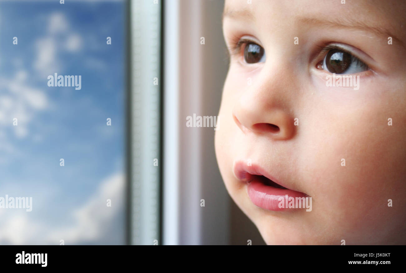 meditative future eye organ eyes look glancing see view looking peeking ...