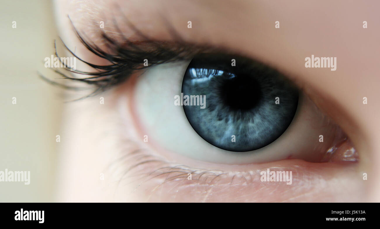 blue cold eye organ eyes look glancing see view looking peeking looking ...