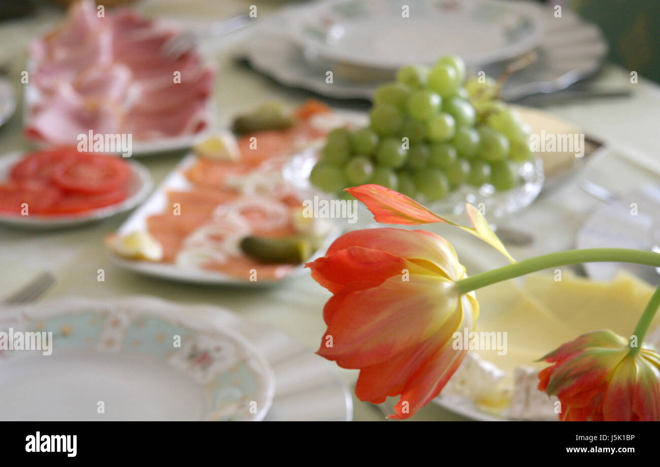 food aliment service green tulips decor plate flower plant tulip in the ...