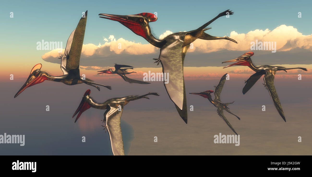 Pterodactylus hi-res stock photography and images - Alamy