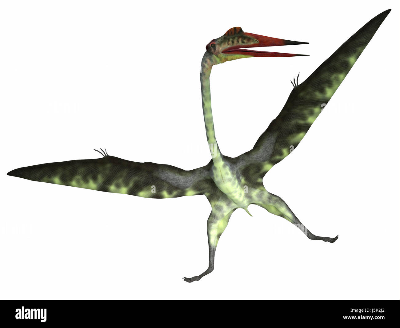 Quetzalcoatlus was a carnivorous pterosaur reptile that lived in the ...