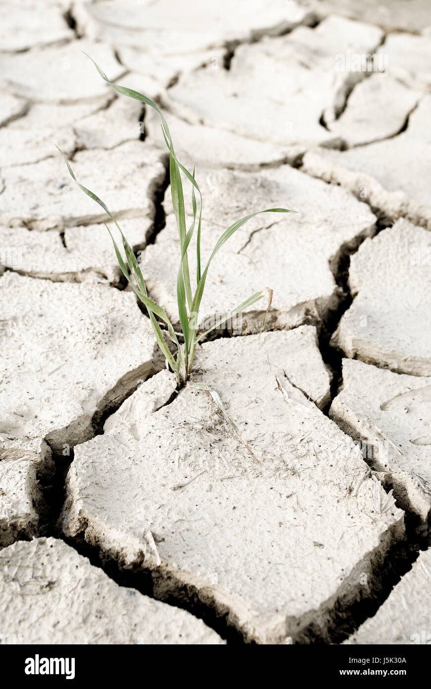 Drought catastrophe hi-res stock photography and images - Alamy
