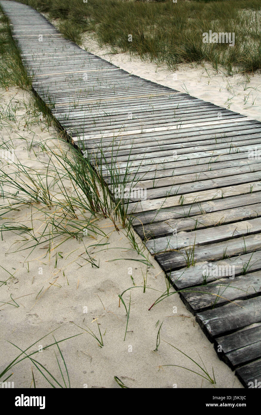 wood hike go hiking ramble conservation of nature nature-sanctuary ...