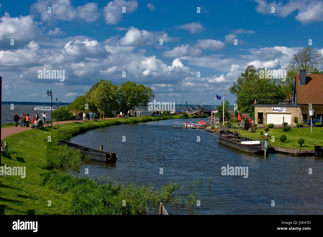 humans human beings people folk persons human human being tree trees ...