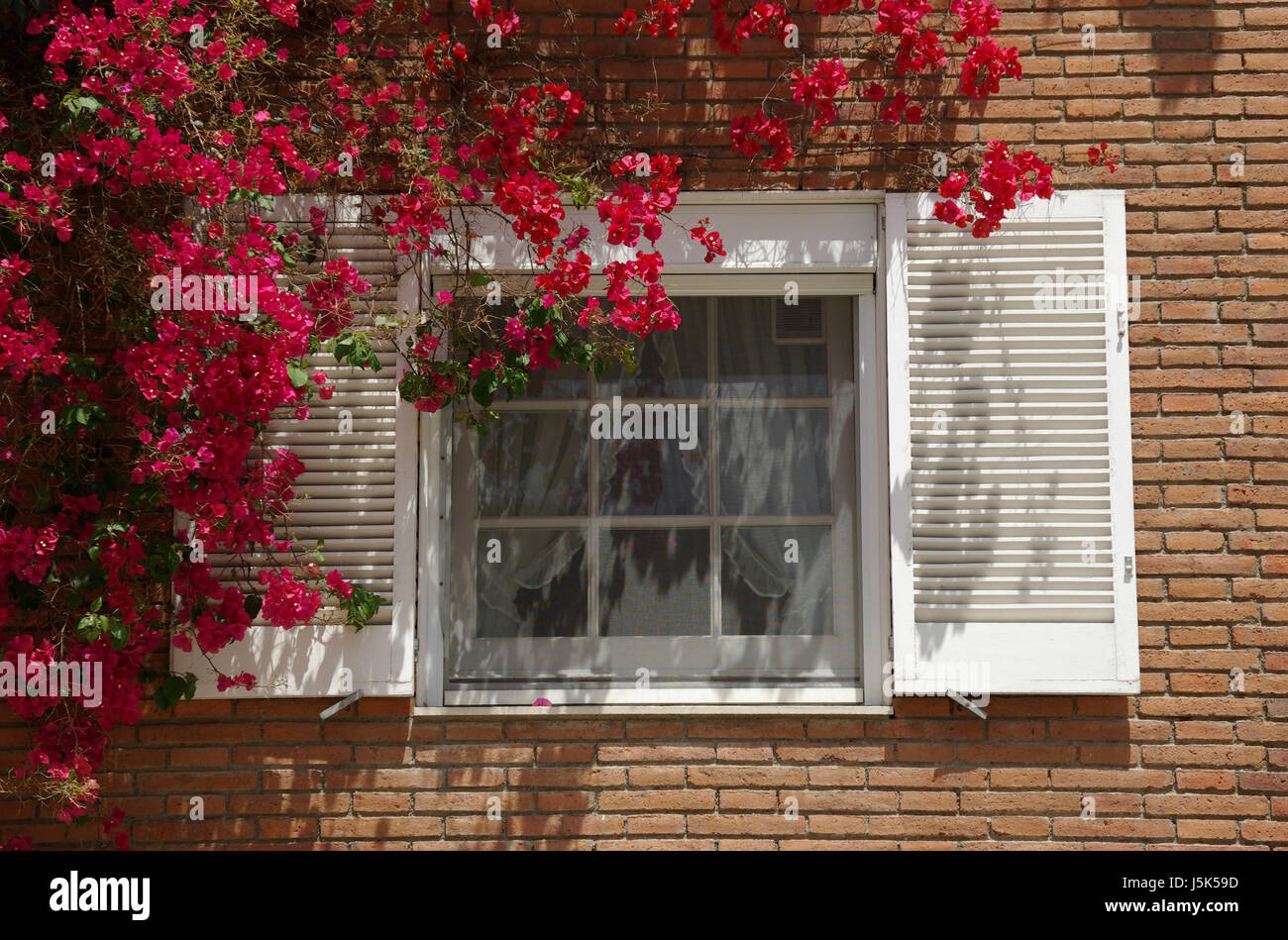 plant window porthole dormer window pane summer summerly blossoms ...