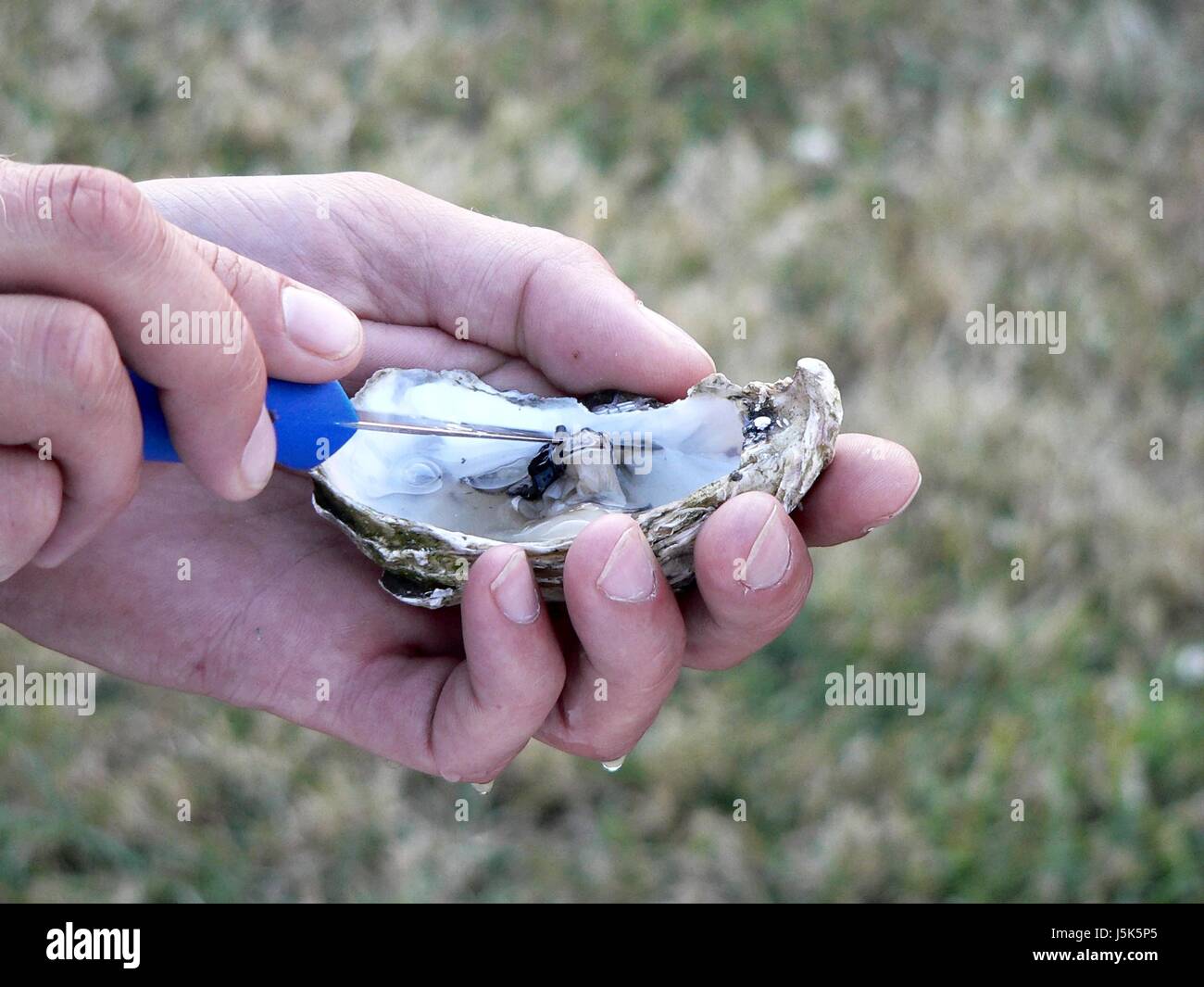 Weapon shell hi-res stock photography and images - Alamy