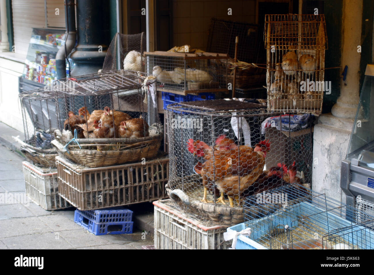 poultry market in porto Stock Photo - Alamy