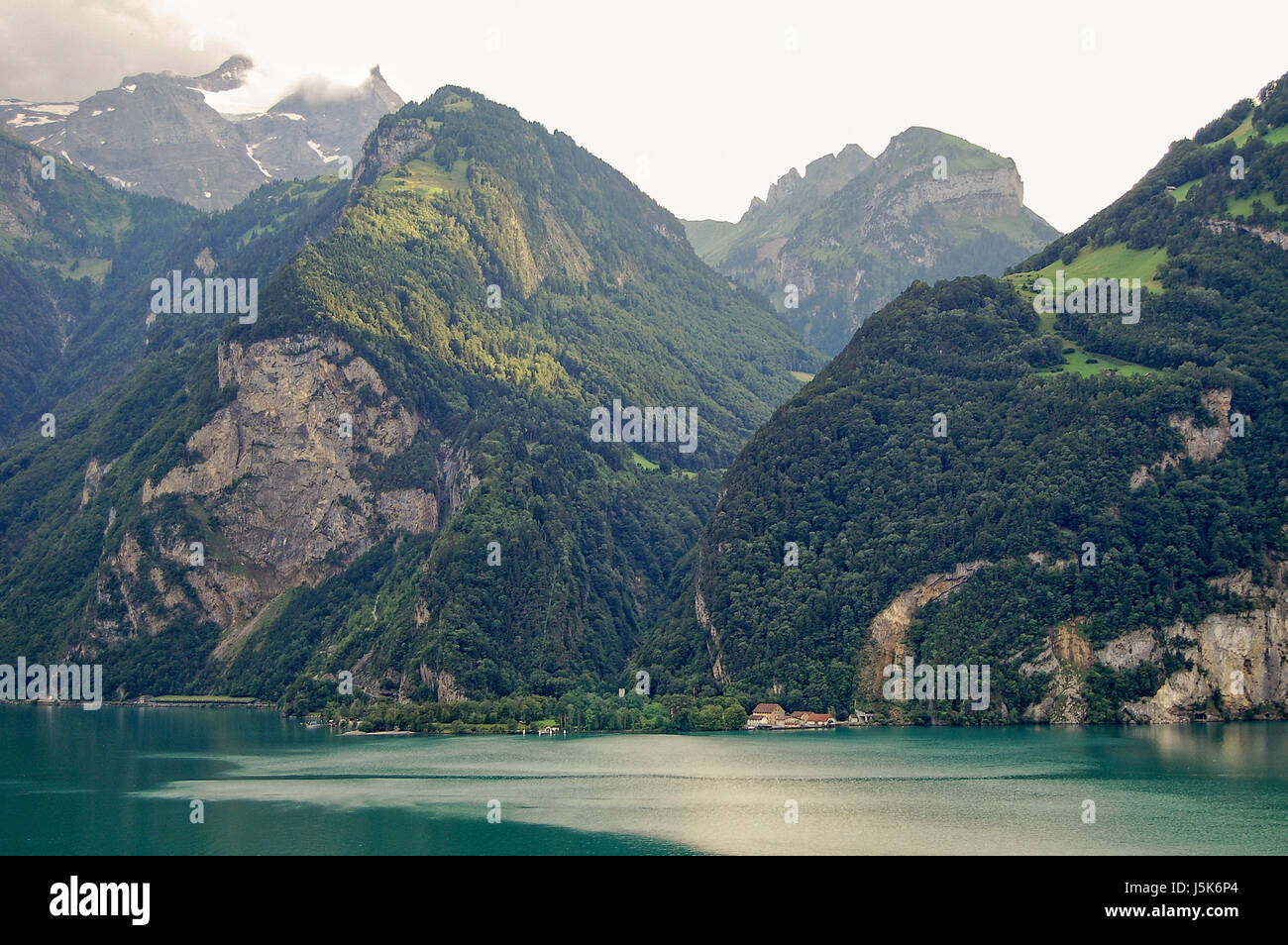 The emerald water of Lake Uri (Urnersee), one of the four basins of ...