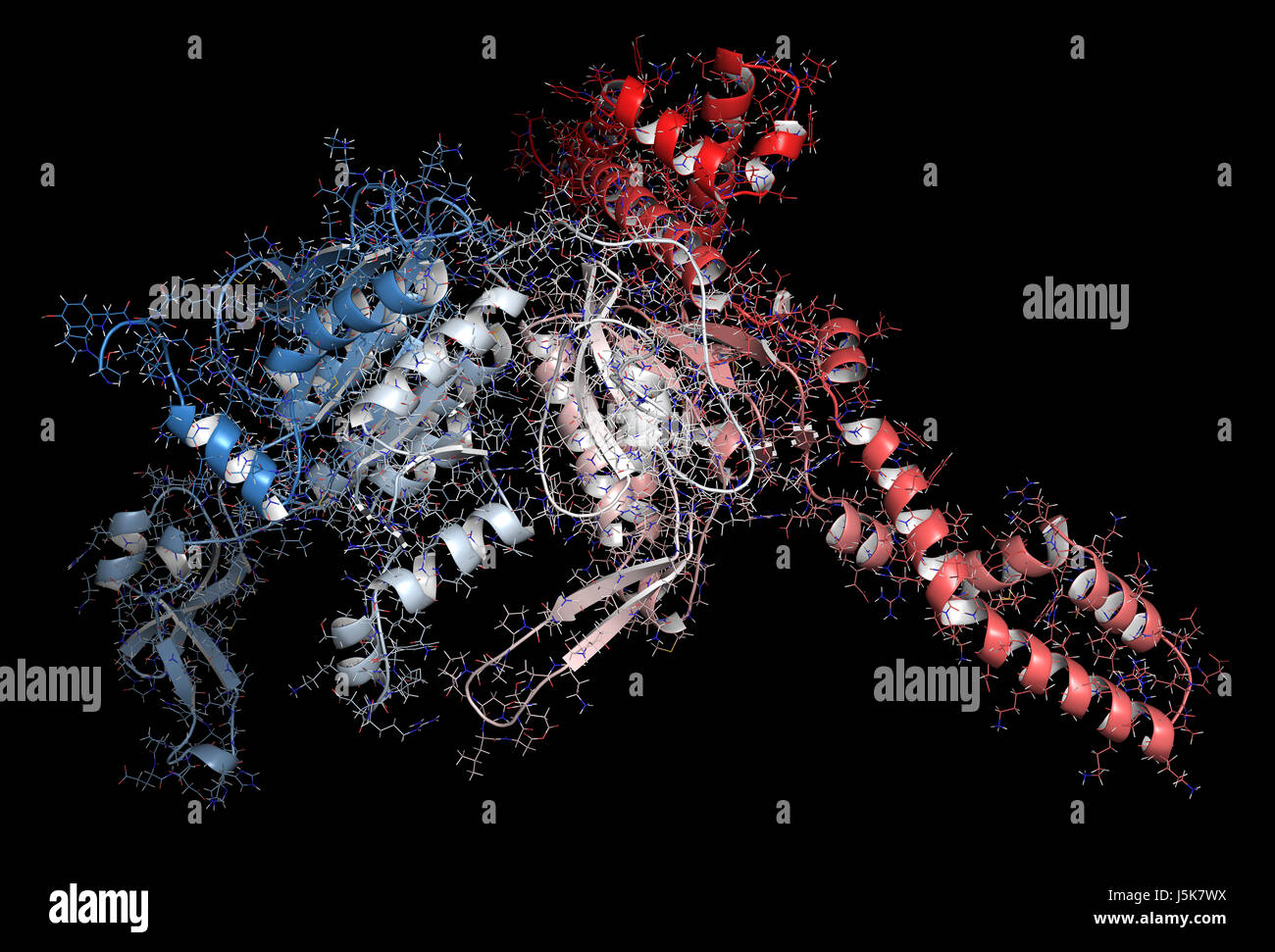 Integrin alpha-4 beta 7 (a4b7, headpiece). Cell surface protein complex ...